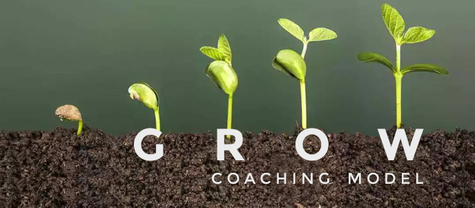 Memakai GROW Coaching Model dalam Pengembangan Tim | Mitologi Inspira